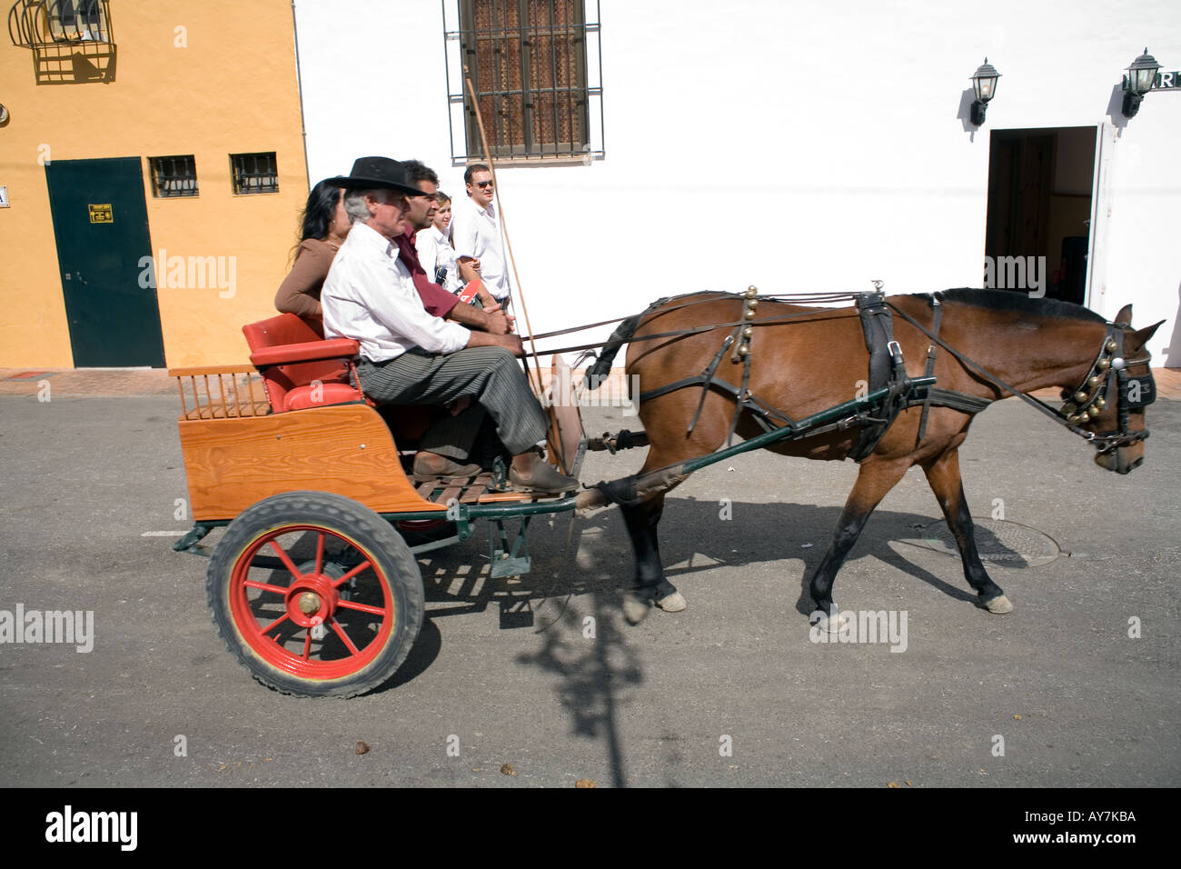 Traditional Pony And Trap High Resolution Stock Photography and Images ...