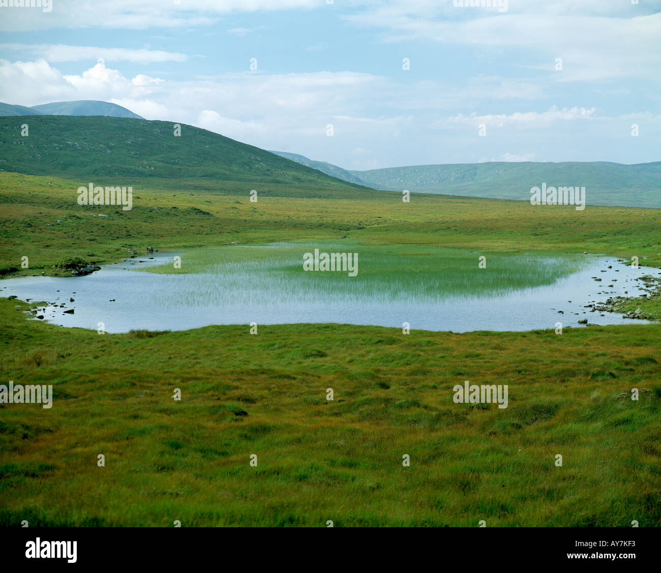 Sitting by lake hi-res stock photography and images - Alamy