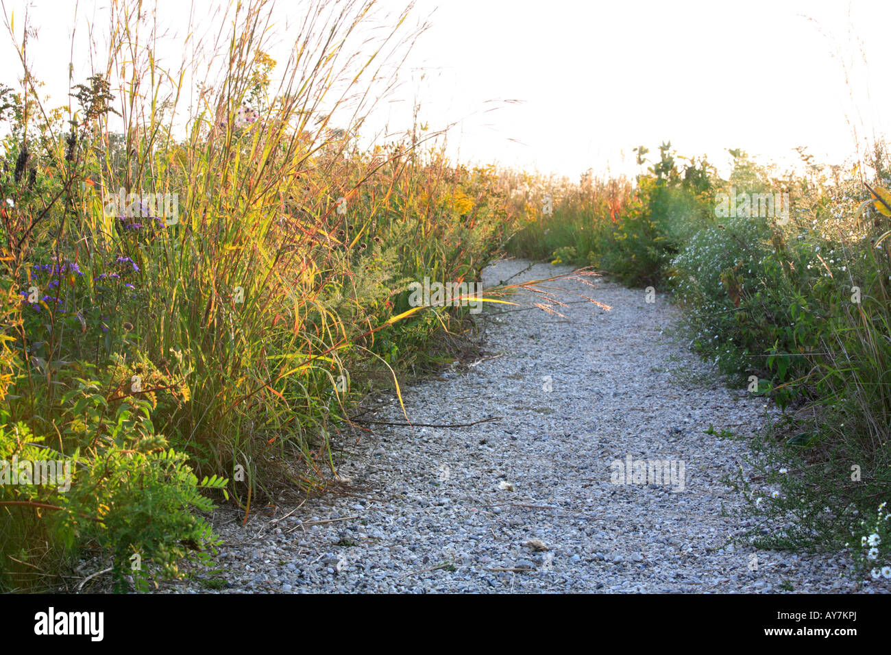 STONE PATH IN NORTHERN ILLINOIS PRAIRIE MIDWESTERN USA Stock Photo - Alamy
