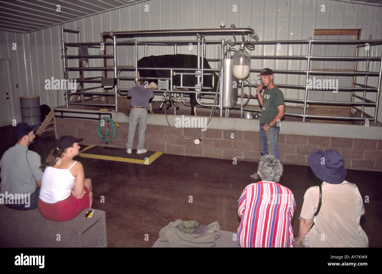 MR 0383 Joe Stith teaches a group of tourists about the dairy industry ...