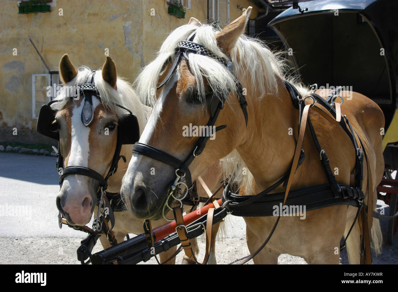 Old Coach And Horses High Resolution Stock Photography and Images - Alamy