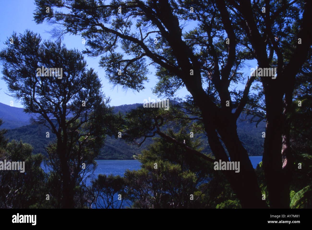 Endeavour inlet nz hi-res stock photography and images - Alamy
