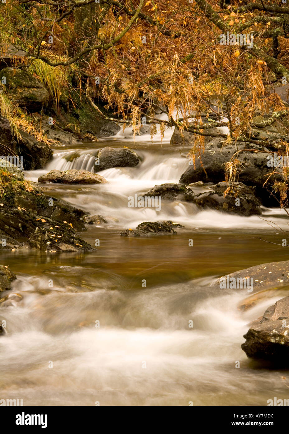 Mountain stream, Sourmilk Gill, in the Lake District flowing through ...