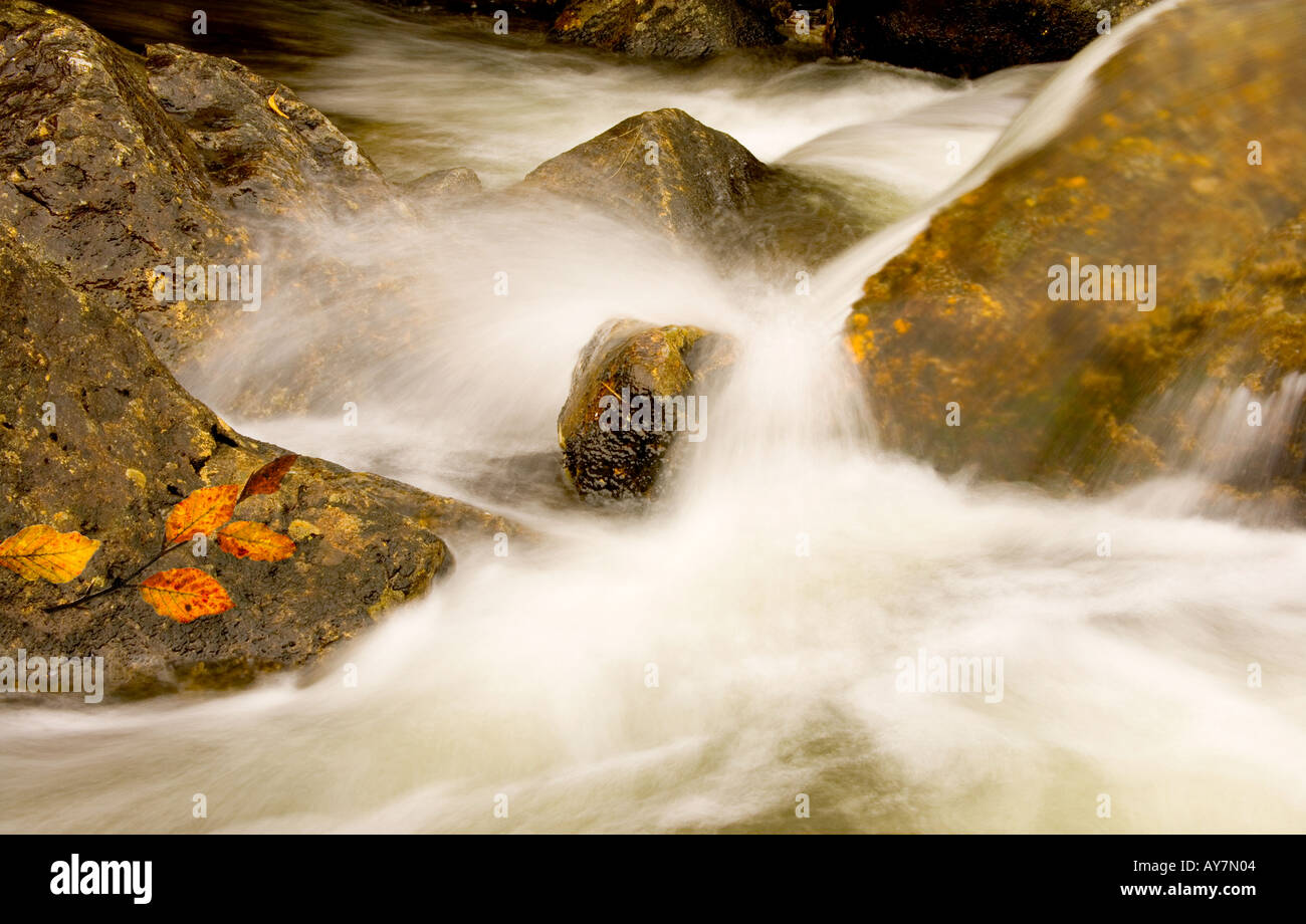 Mountain Stream rushing between rocks Stock Photo - Alamy
