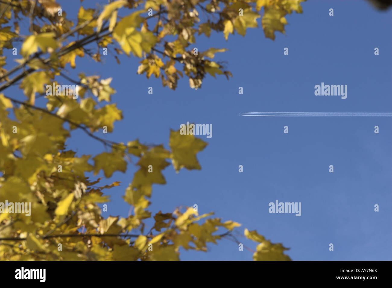 Aircraft forms hi-res stock photography and images - Alamy