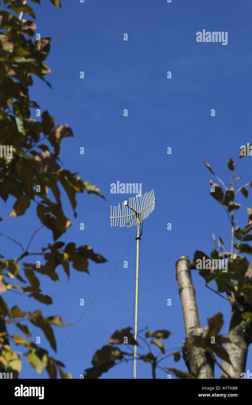 vertical image of antenna on tall pole hidden behind trees outdoors ...