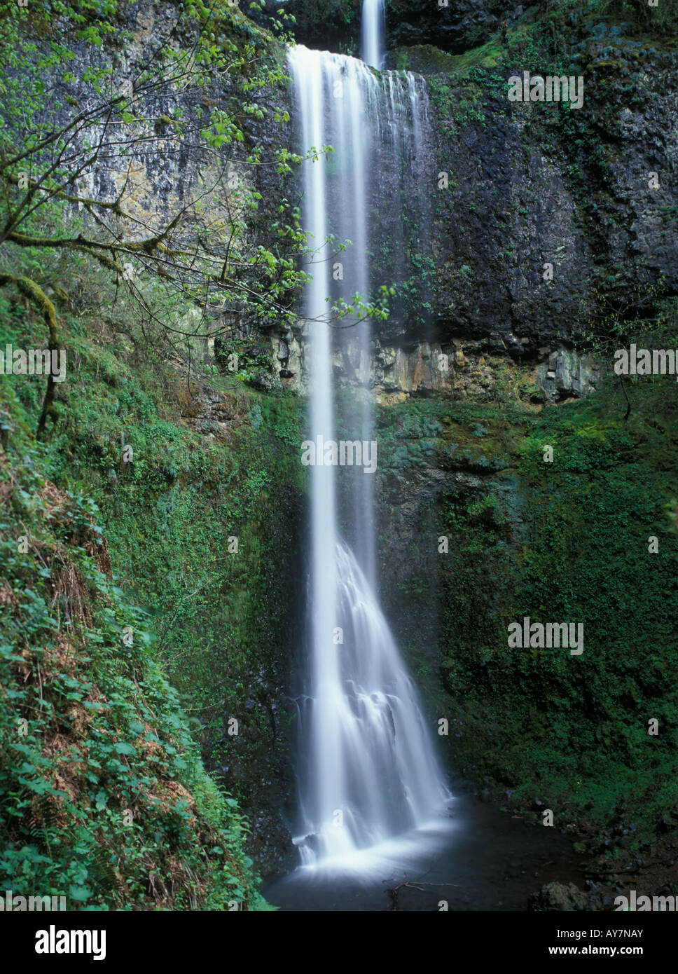 Double falls tumbles down a cliff in Silver Falls State Park Oregon USA ...