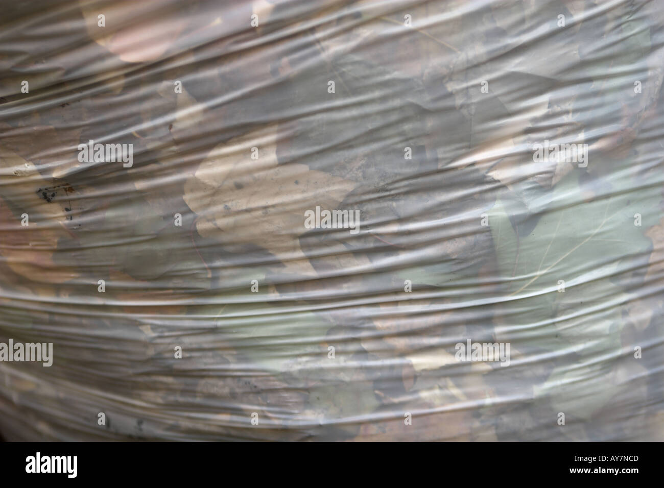 Plastic bag full of fallen leaves during autumn Stock Photo - Alamy