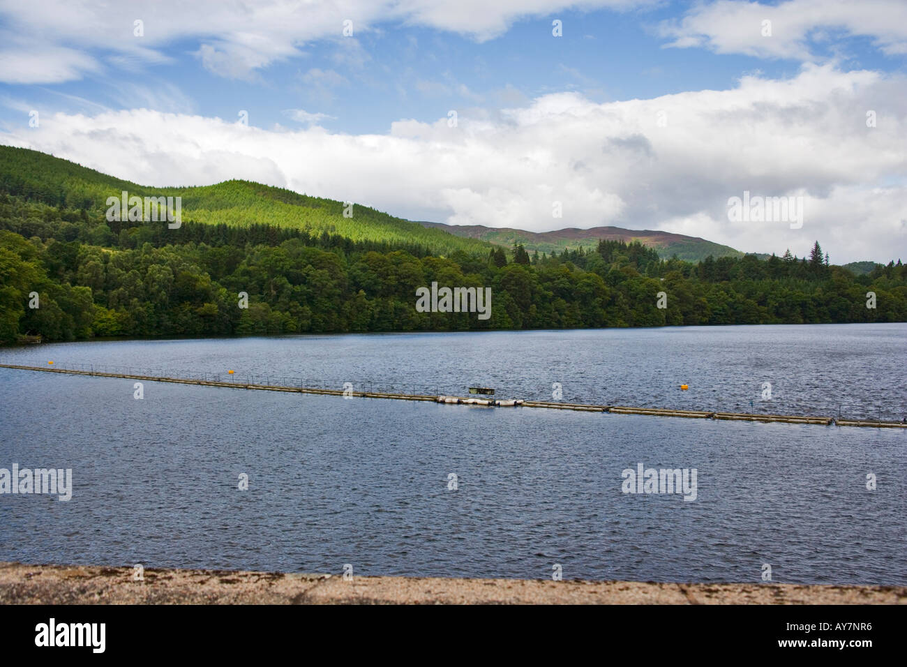 Faskally forest hi-res stock photography and images - Alamy
