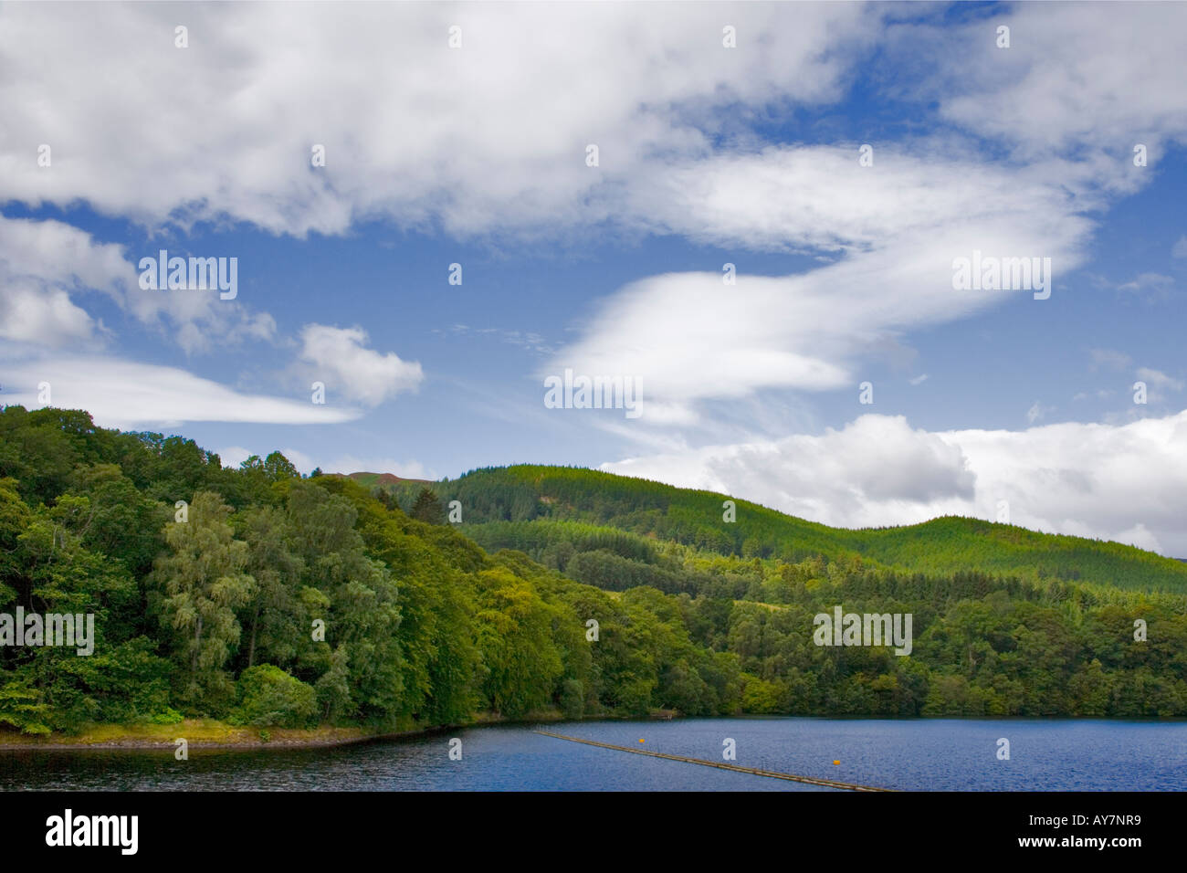 Faskally wood perthshire hi-res stock photography and images - Alamy