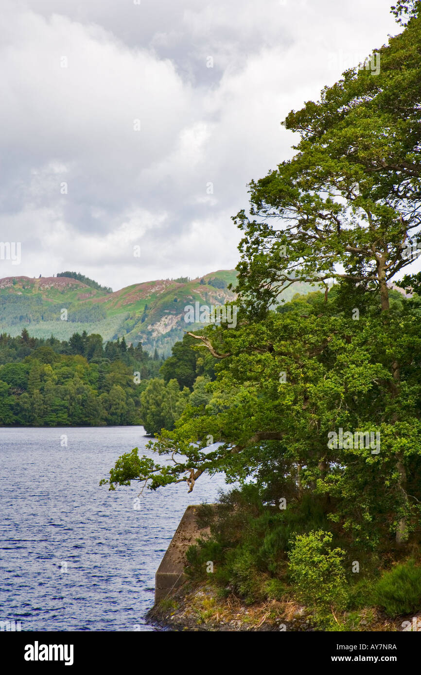 Faskally forest hi-res stock photography and images - Alamy