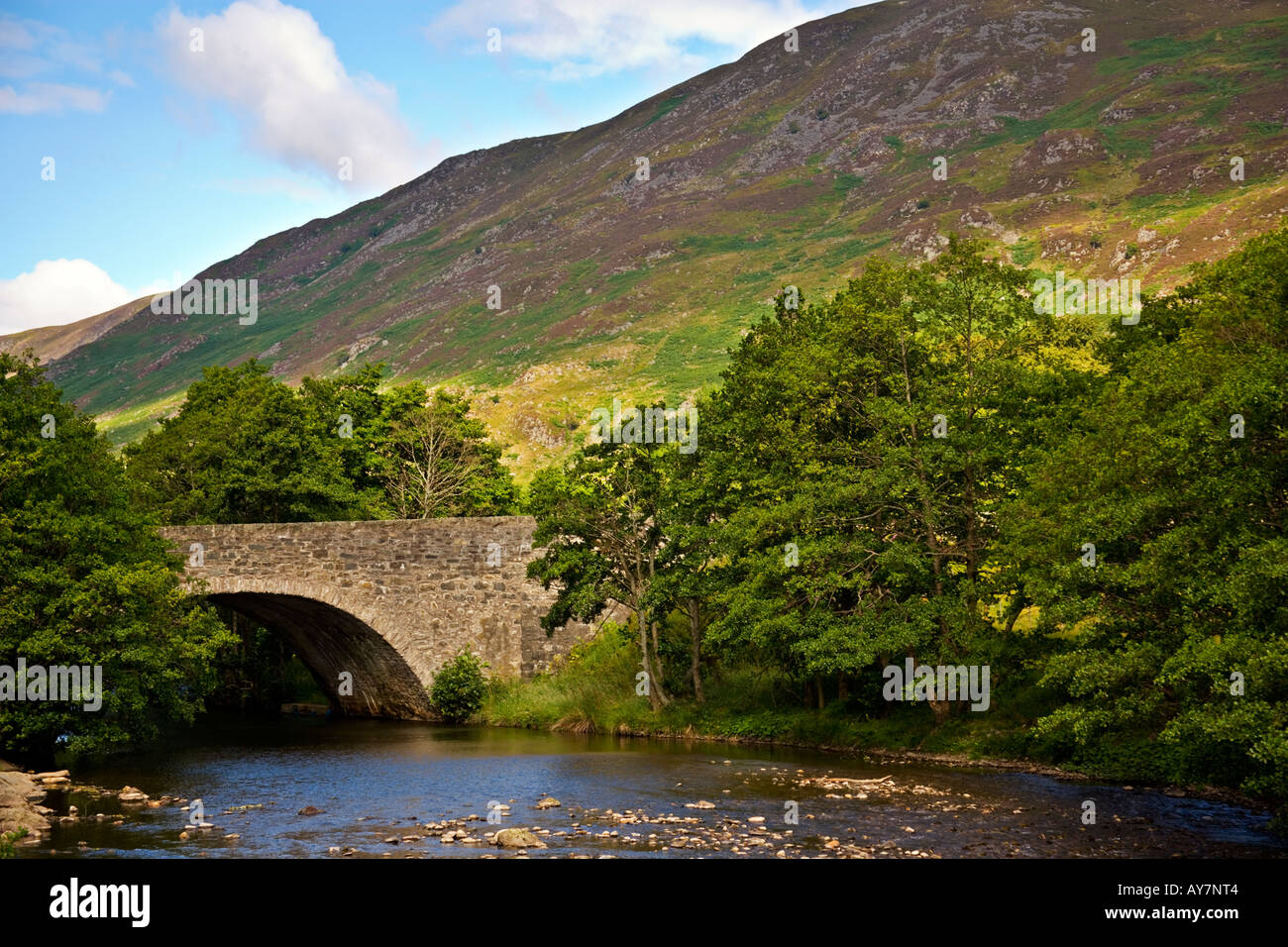 Almond glen hi-res stock photography and images - Alamy