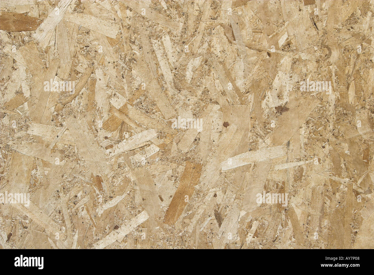 Frontal view of waffer board Stock Photo - Alamy