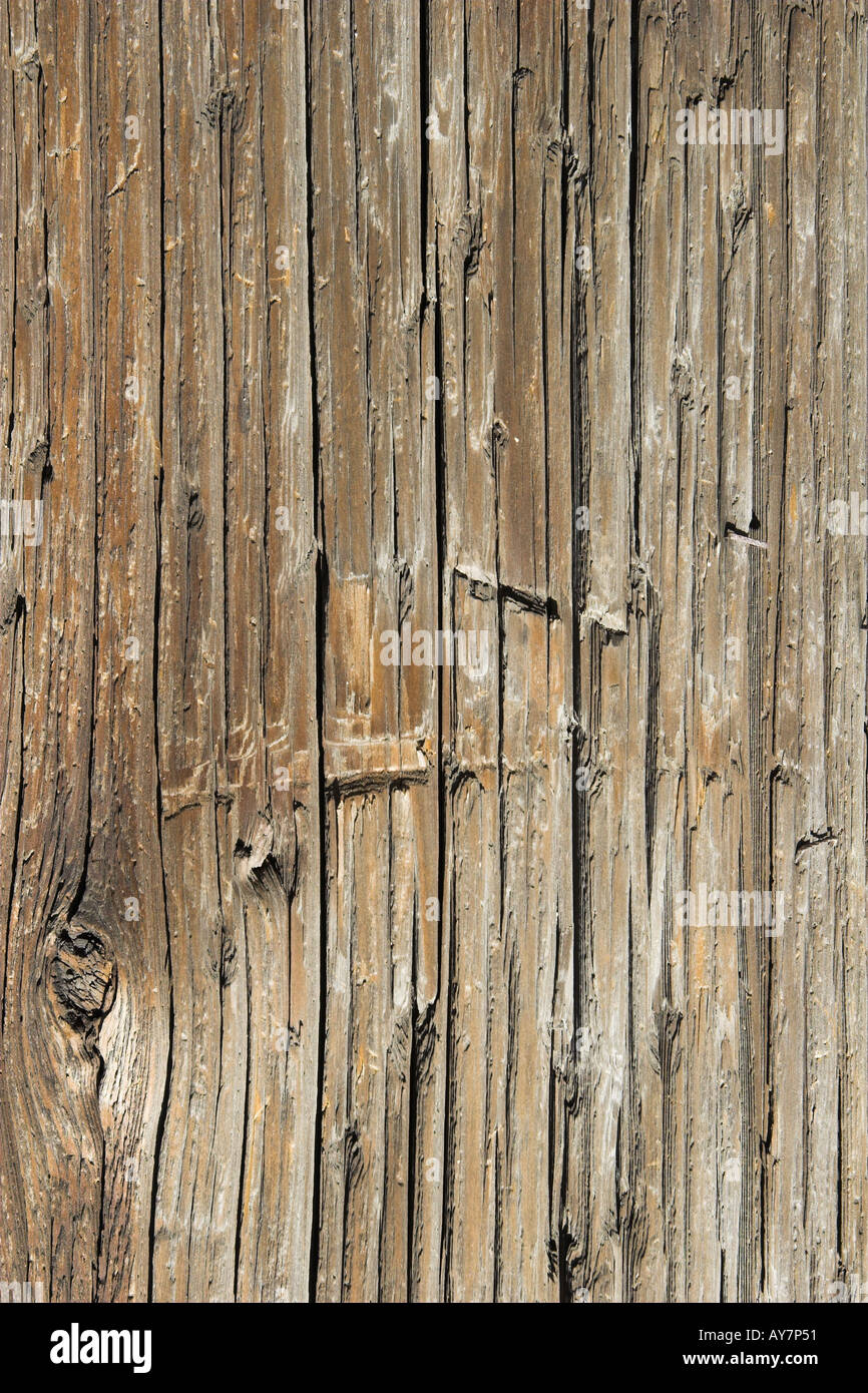 Telephone Pole Texture