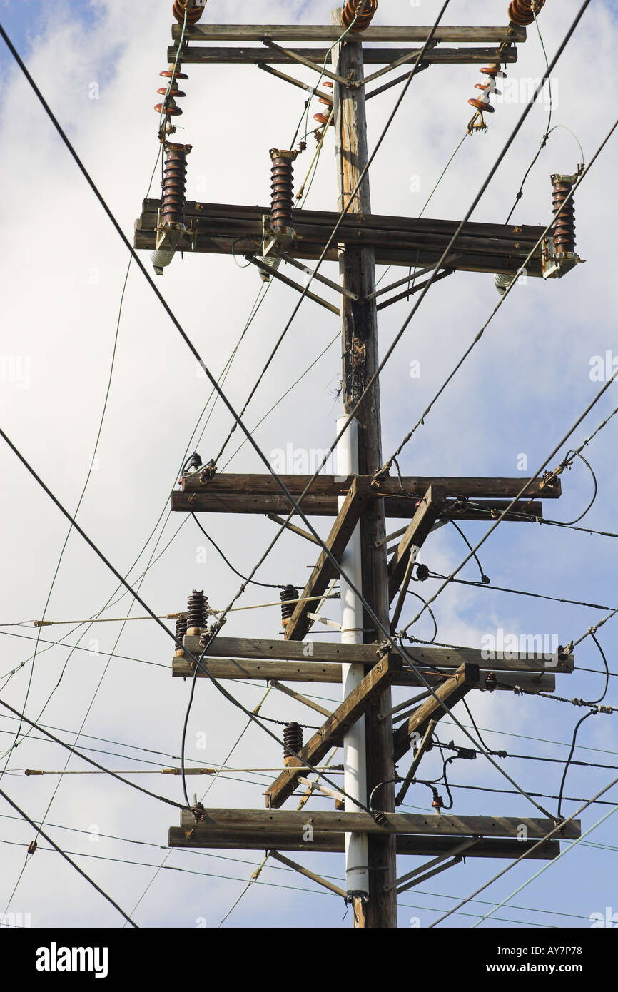 Wood utility pole cross section hi-res stock photography and images - Alamy