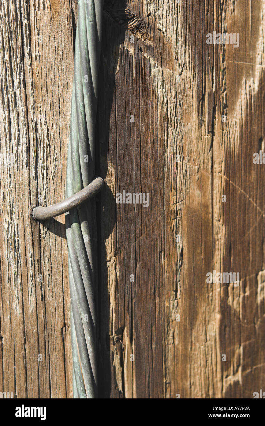 vertical image of utility pole with grounding cable and staple Stock ...