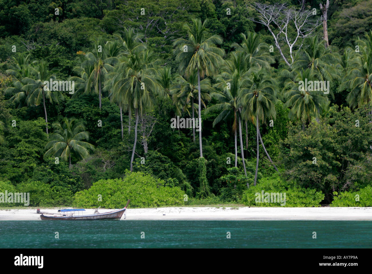 Longtail traditional boat at deserted beach with palm trees Ko Rawi ...
