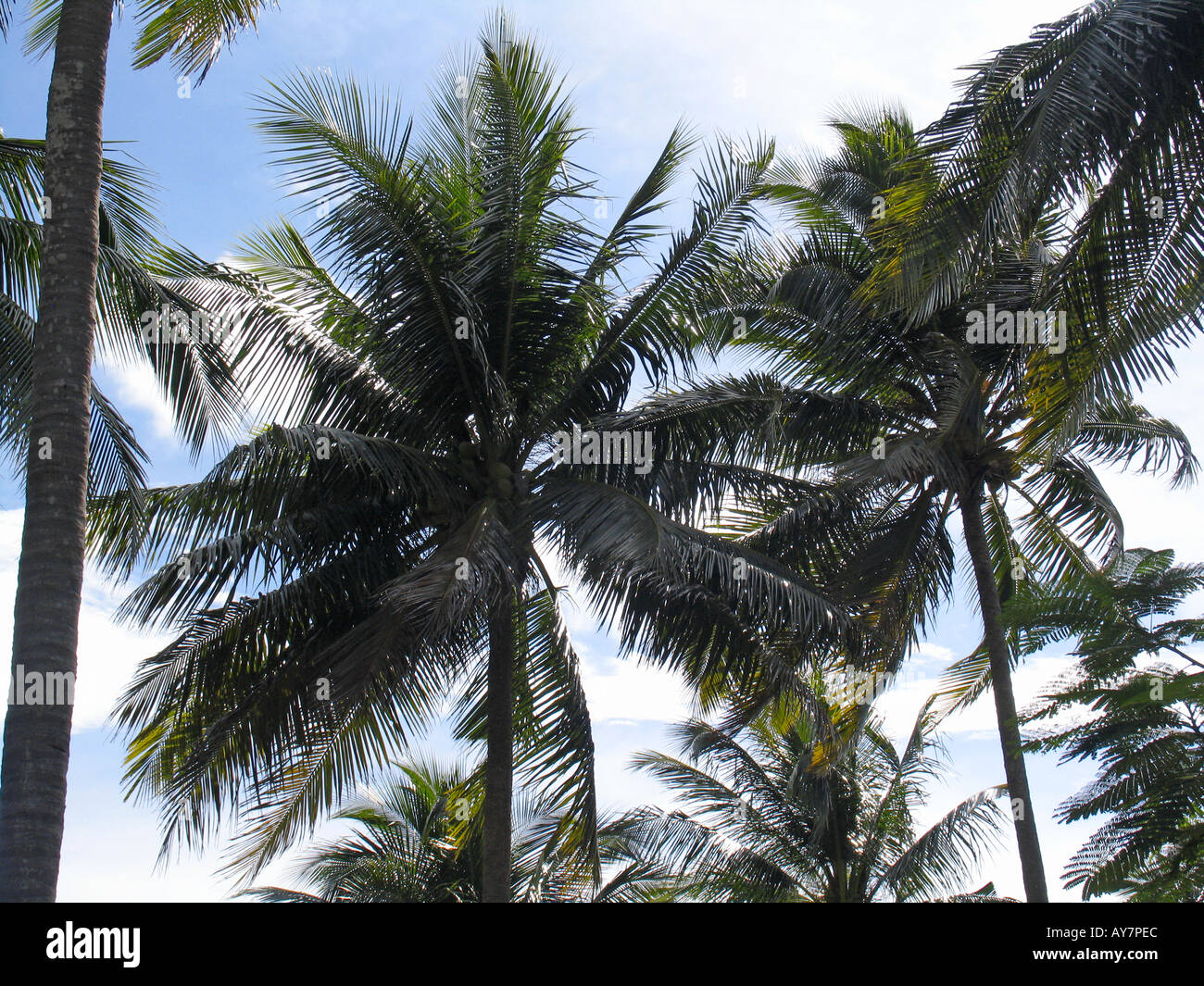 Thailand koh sukorn hi-res stock photography and images - Alamy