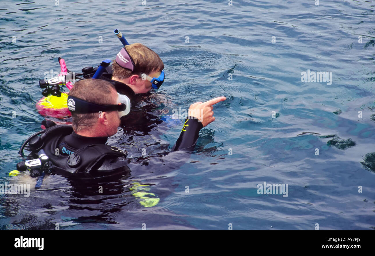 A diving instructor supervises a student during scuba school, at the ...