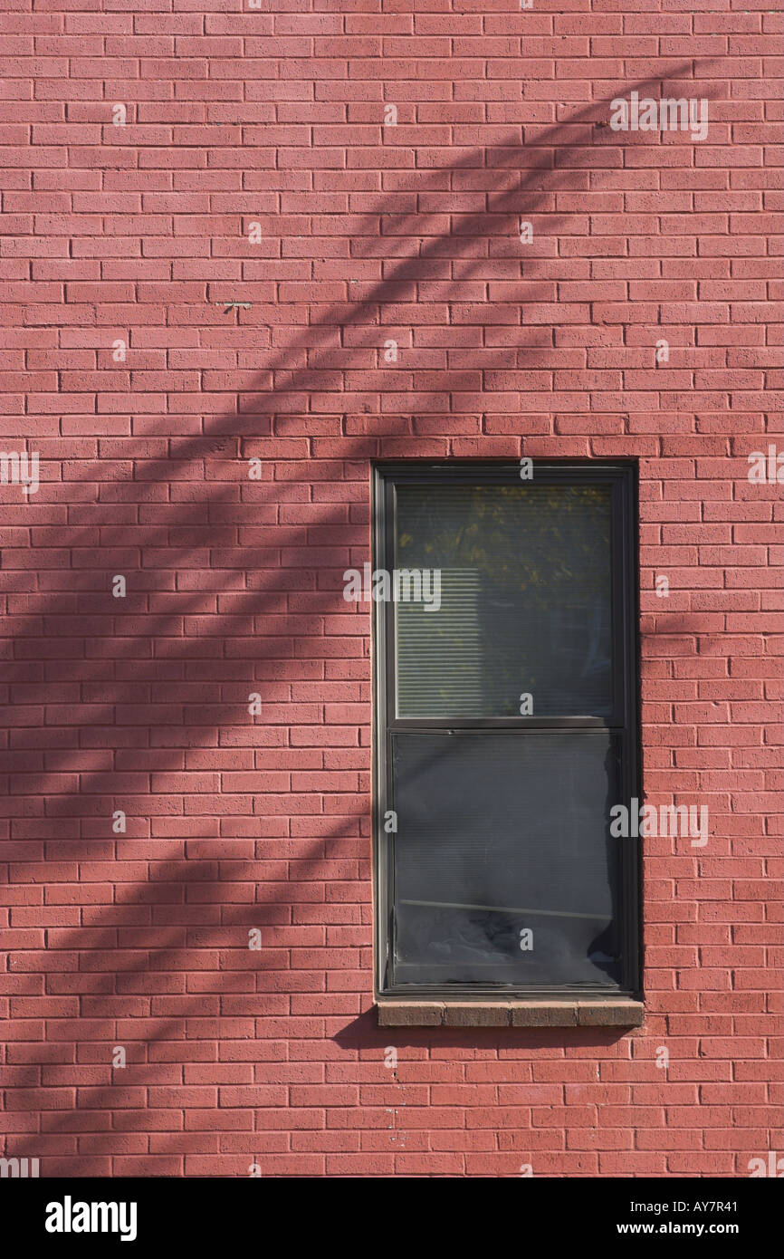 Window in red brick wall with shadow of tree Stock Photo - Alamy