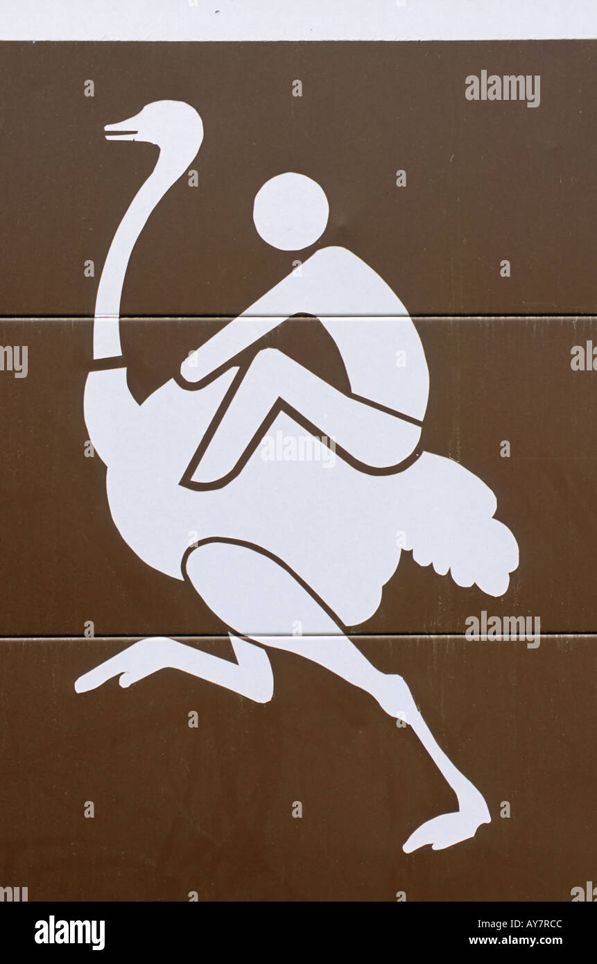 Road sign, Riding an Ostrich, Cango Ostrich Farm, South Africa Stock ...