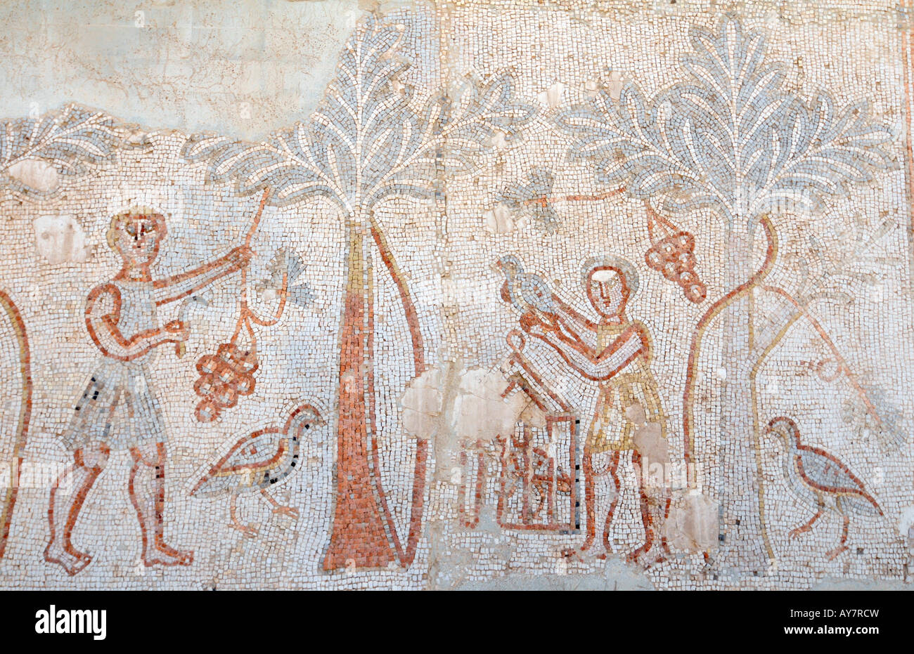 Roman agriculture hi-res stock photography and images - Alamy