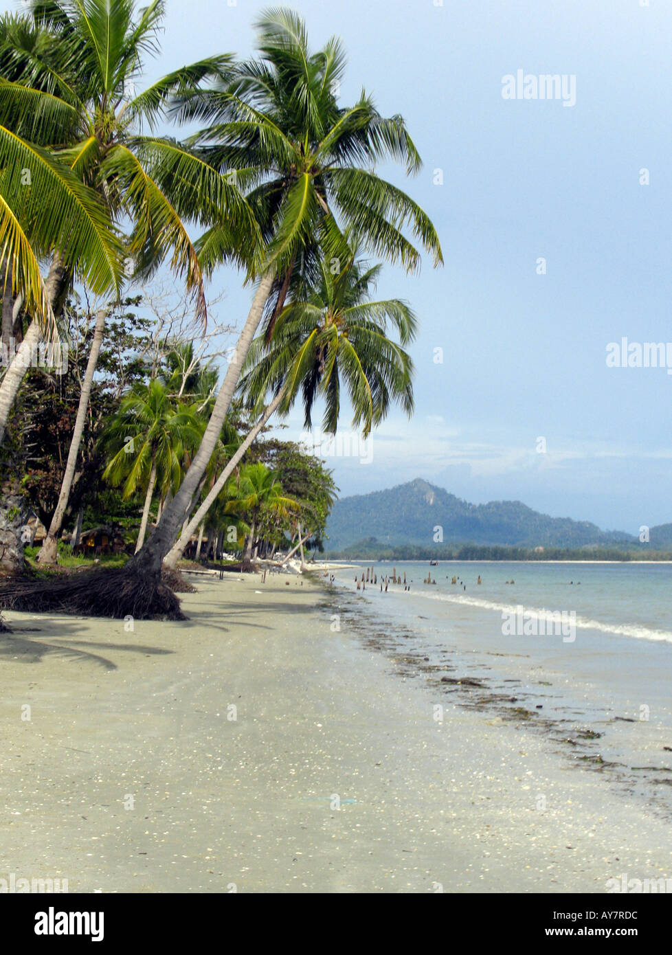 Ko muk hat farang hi-res stock photography and images - Alamy