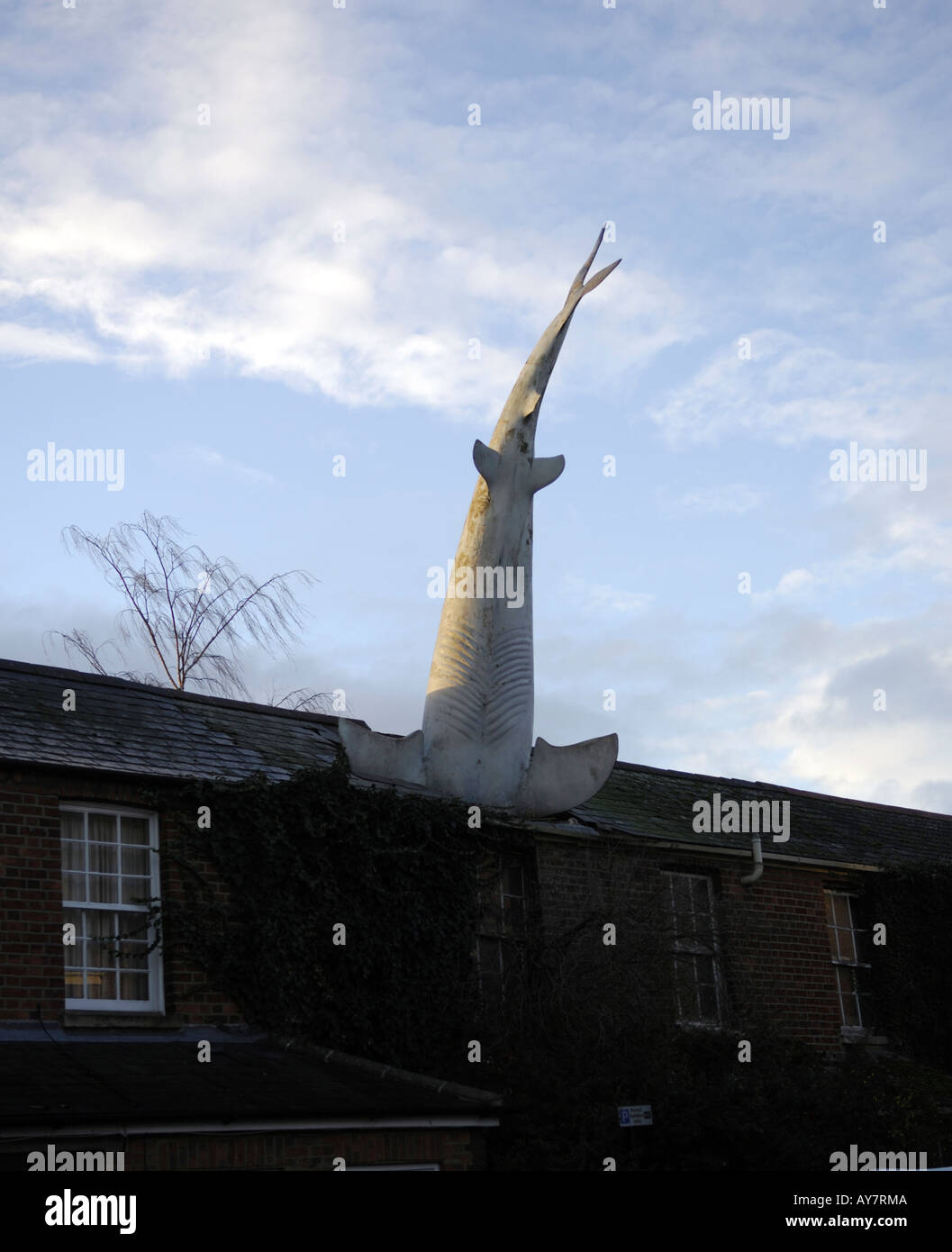 Shark in roof of house in New High Street Headington Oxford Stock Photo ...