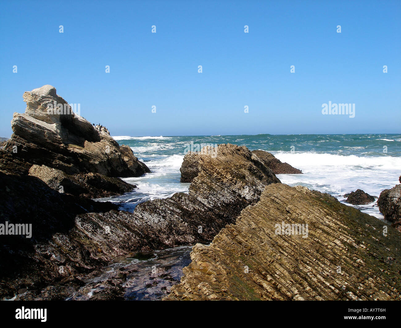 A beach in California showing waves crashing on rocks with seals in the ...