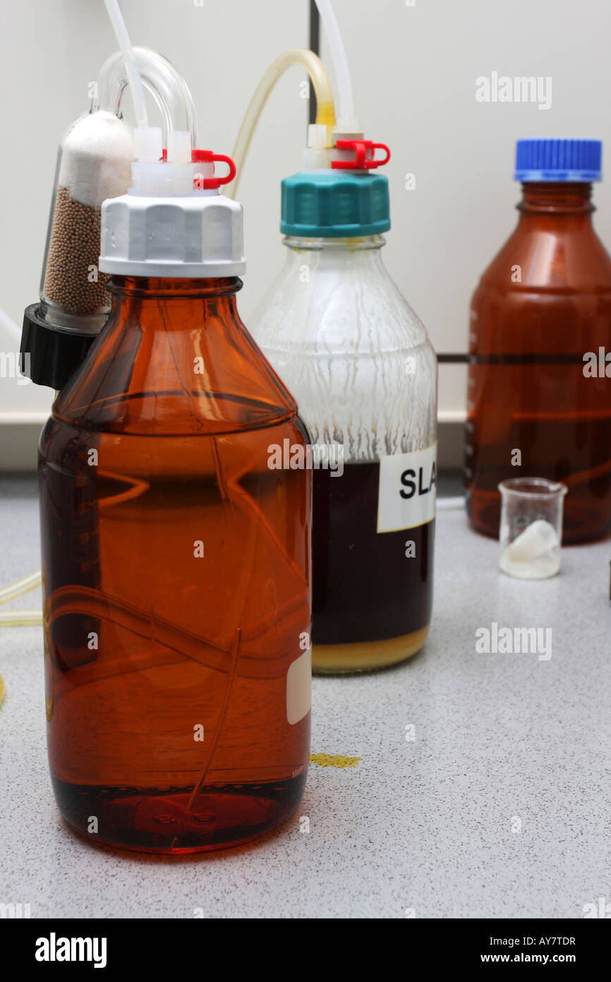 chemicals and equipment in a real life pharmaceuticals laboratory Stock ...