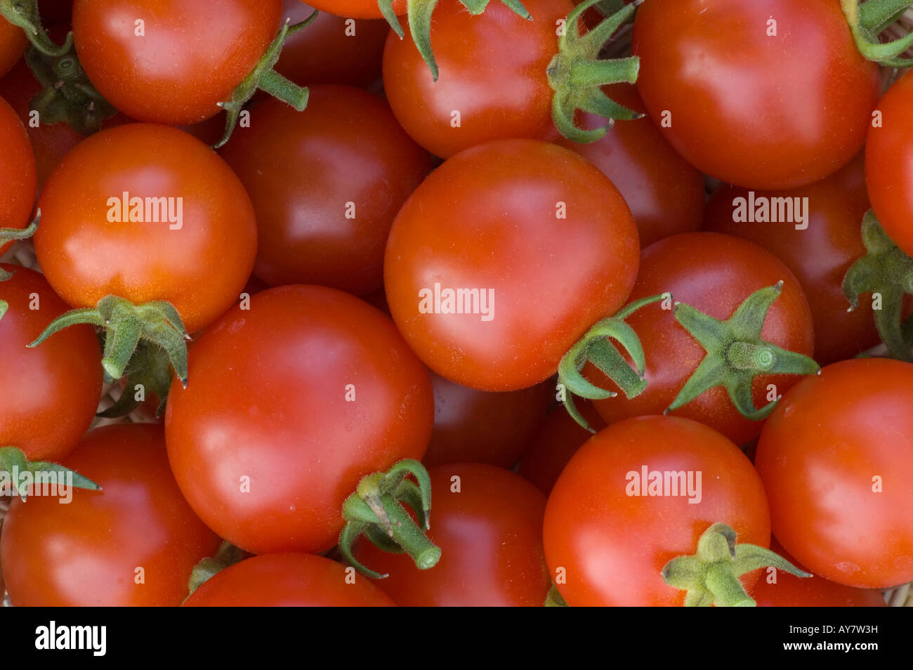 Cherry toms hi-res stock photography and images - Alamy