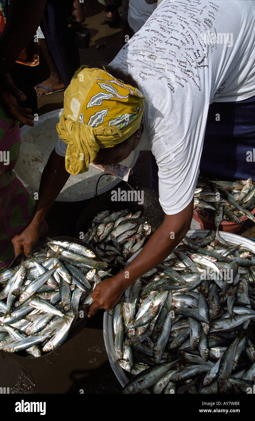 A woman is bending over three bowls of fish which she appears to have ...
