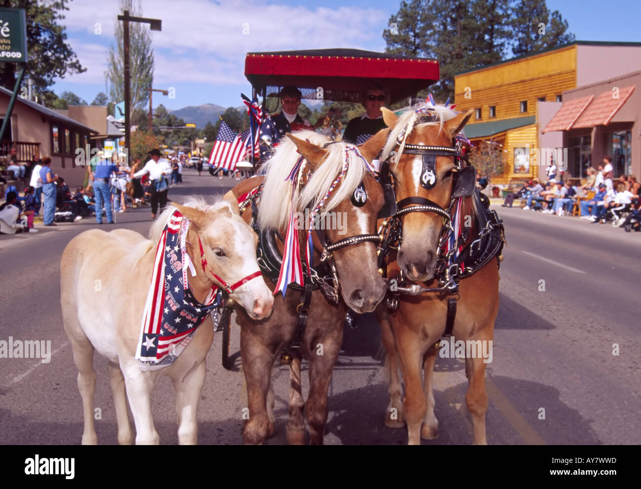 New mexico horses hi-res stock photography and images - Alamy