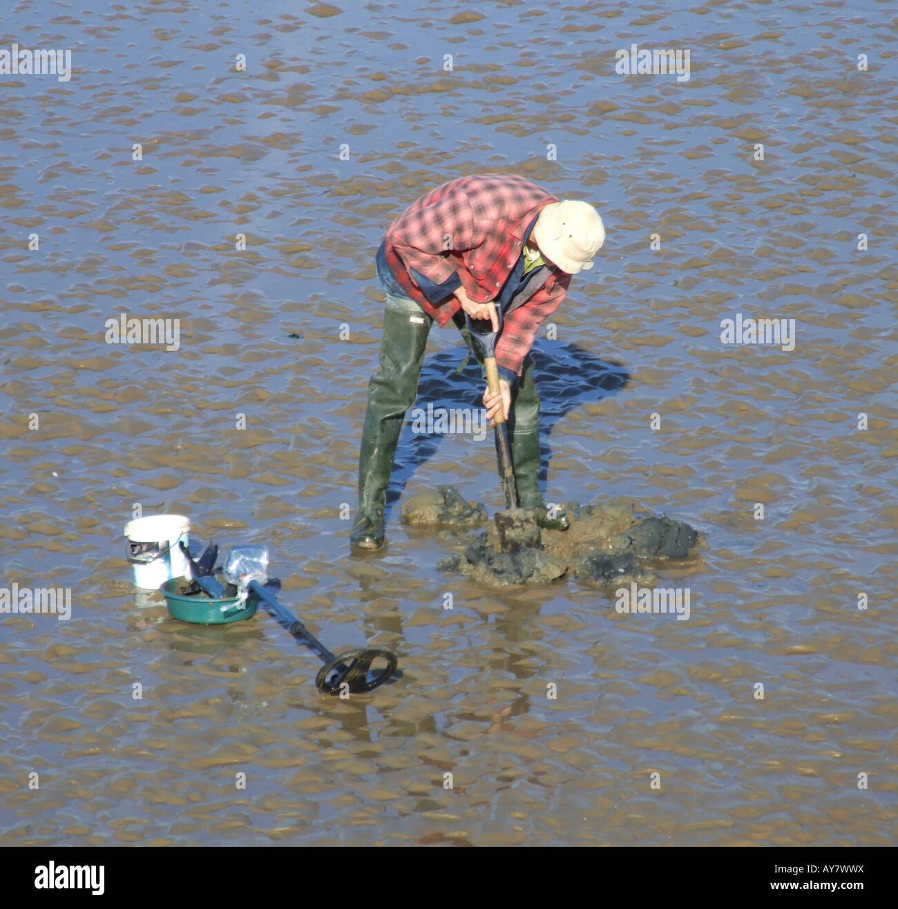 Metal Detector Digging for Treasure on the mud flats Stock Photo - Alamy