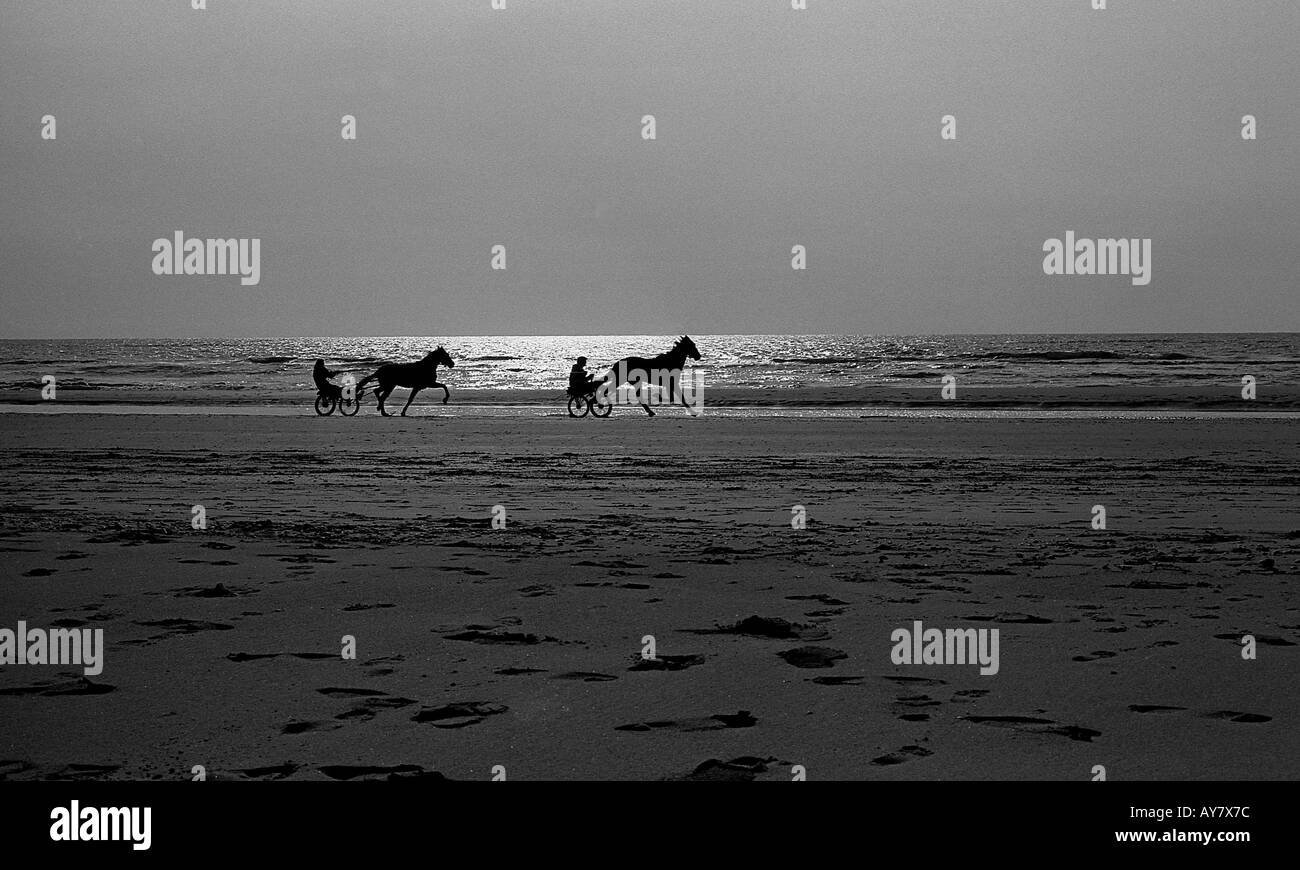Two horse racing buggies on the beach in Holland Stock Photo - Alamy