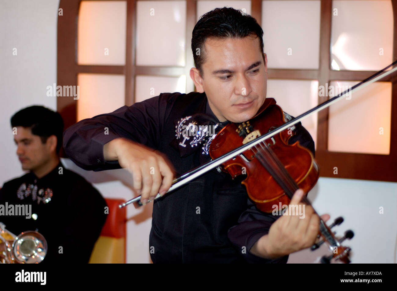 Musician playing violin at Mexican mariachi band Stock Photo - Alamy