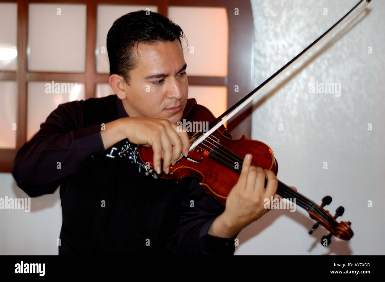 Musician playing violin at Mexican mariachi band Stock Photo - Alamy