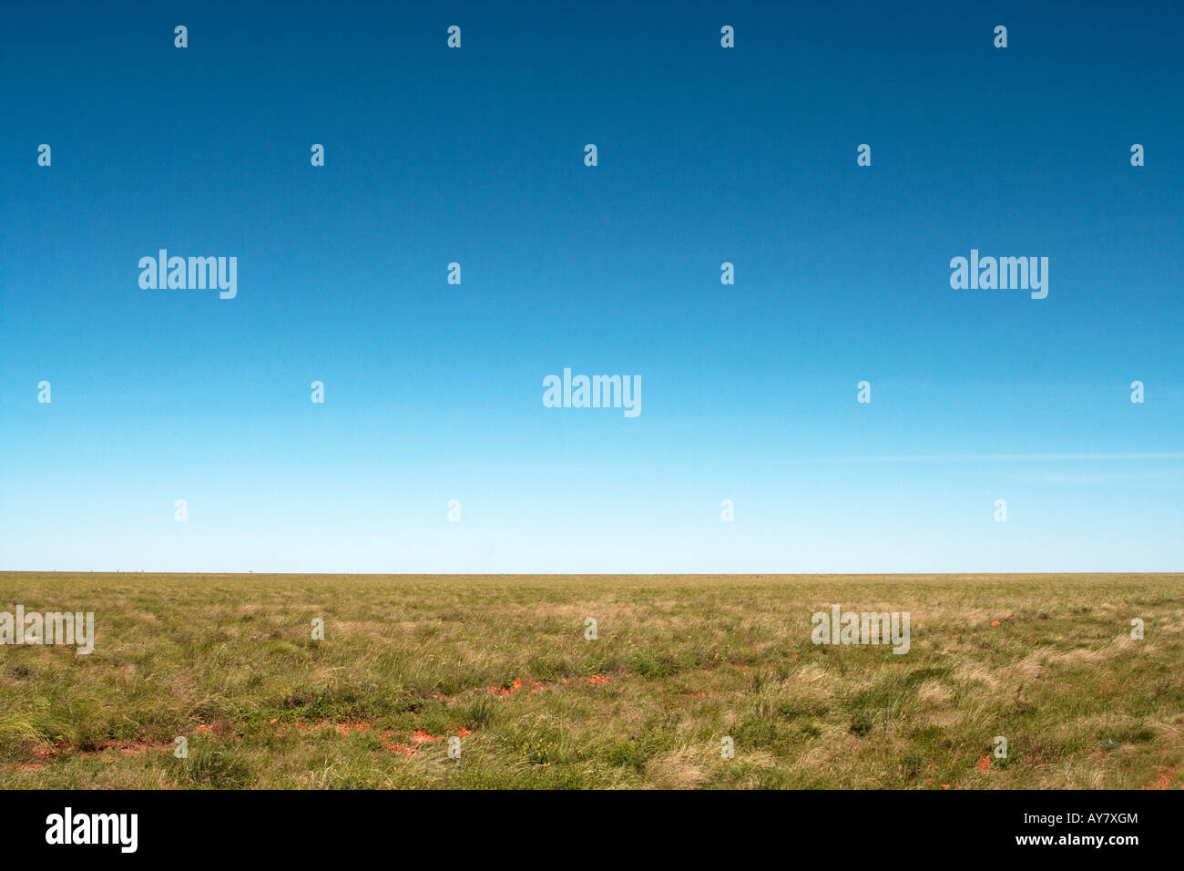 Horizon line, Northern Territory, Australia Stock Photo - Alamy