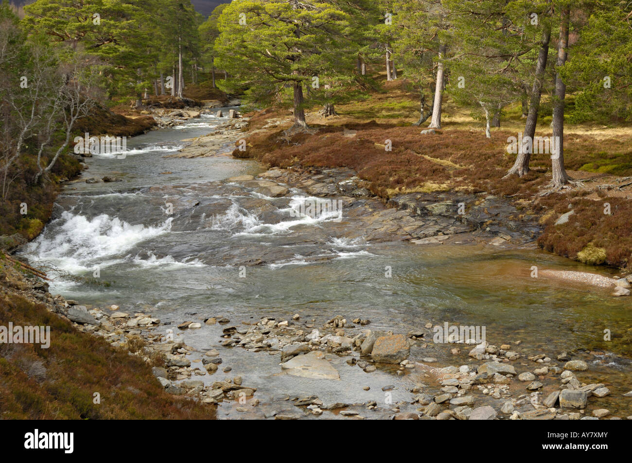Parque nacional cairngorms hi-res stock photography and images - Alamy