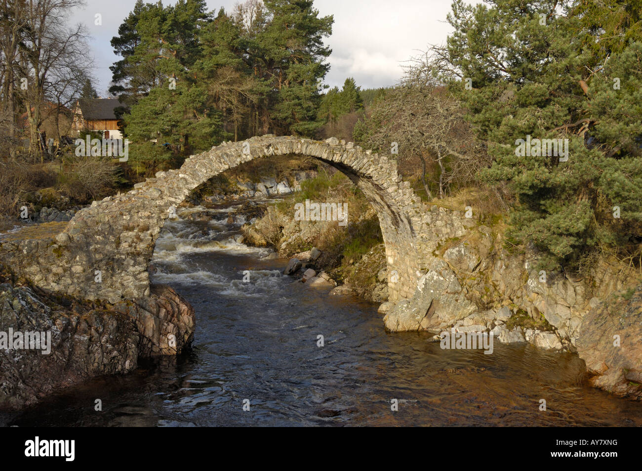 Old Packhorse Bridge, Carrbridge, Highlands, Scotland Stock Photo - Alamy