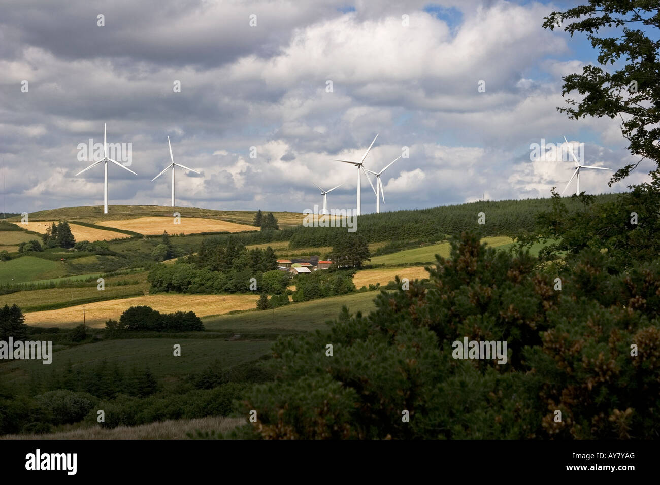 Distant view of wind power turbines on windfarm producing electricity ...