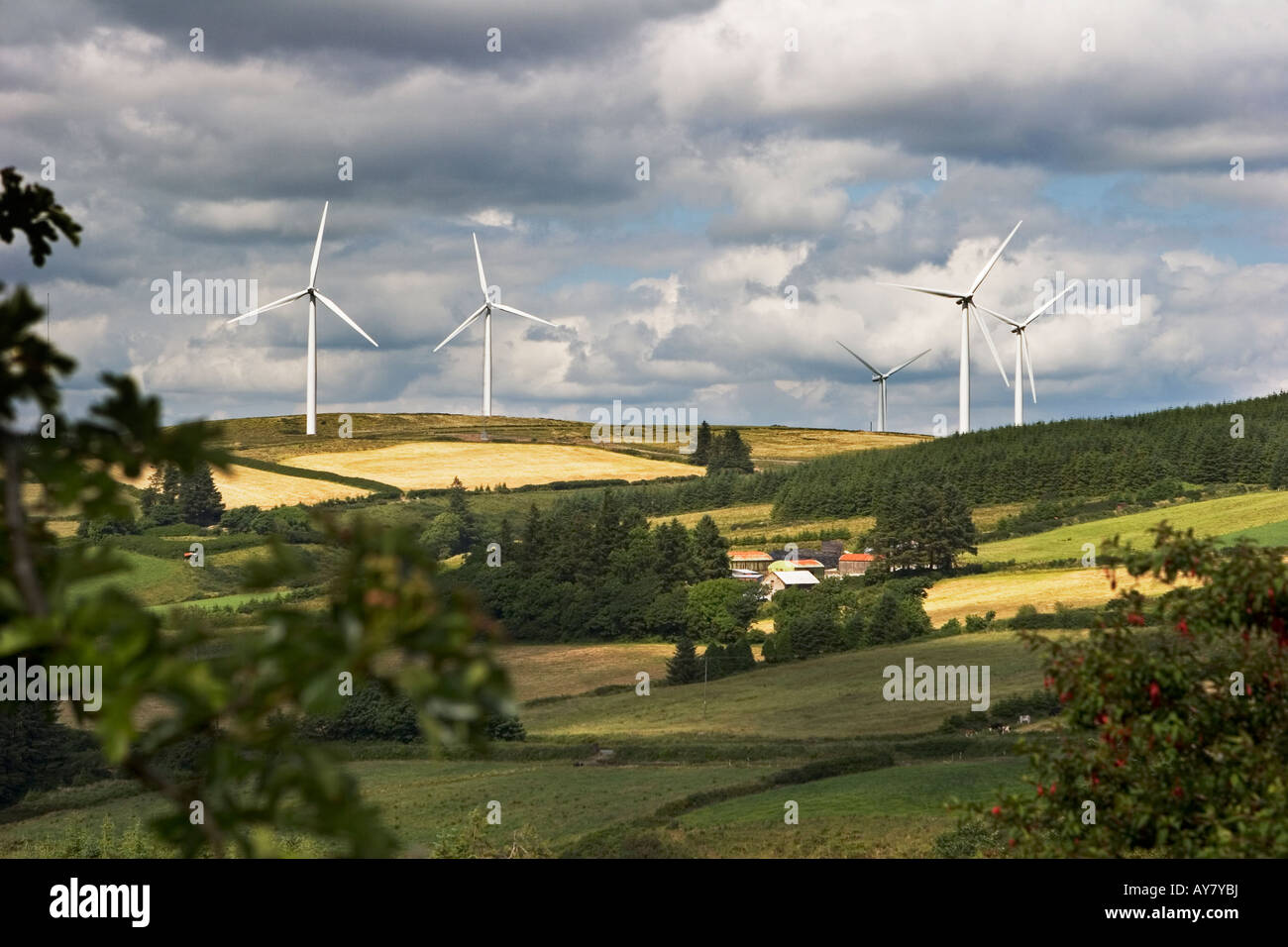 Wind power turbines on windfarm producing electricity for part of ...
