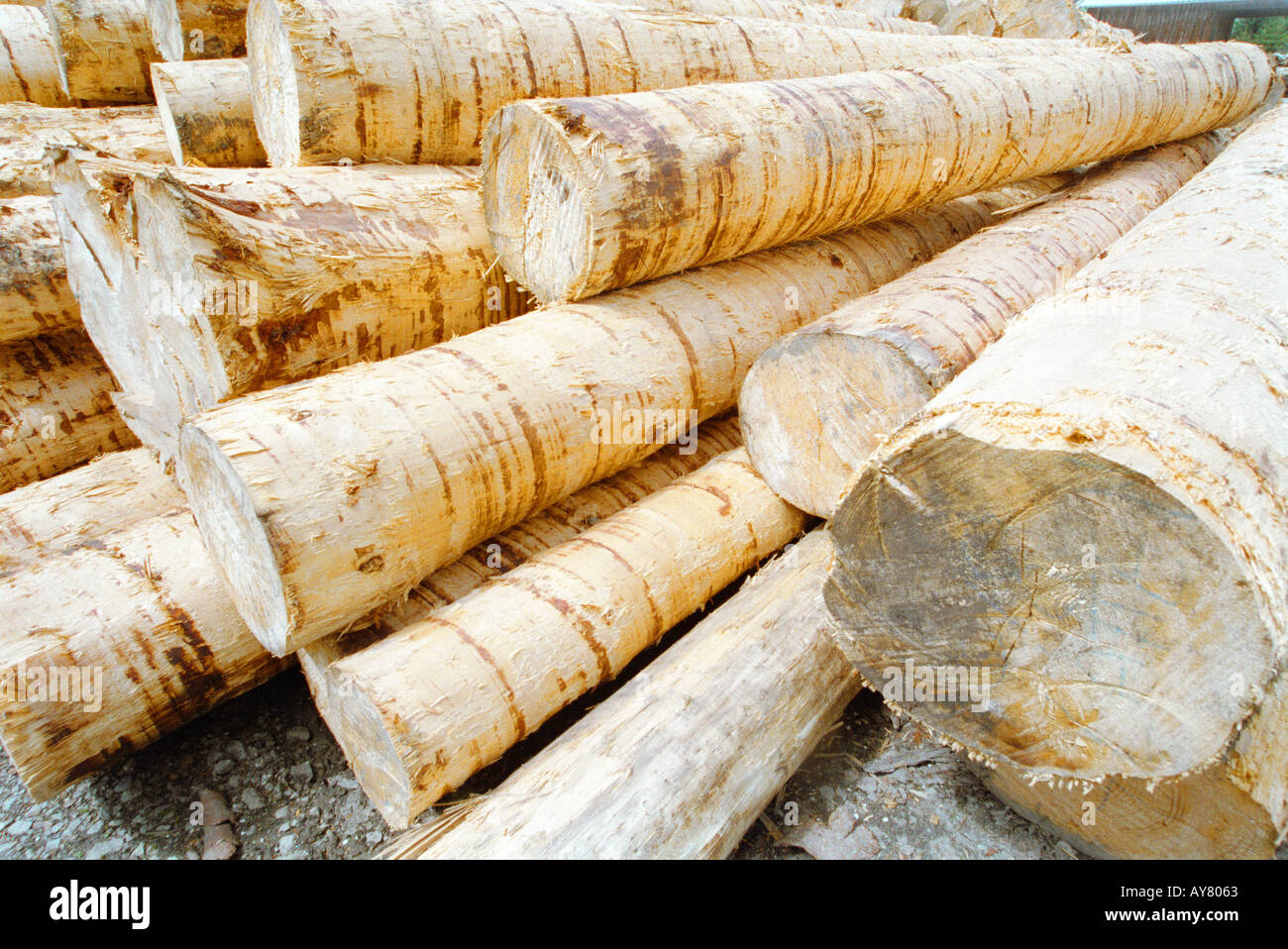 Log duration hi-res stock photography and images - Alamy