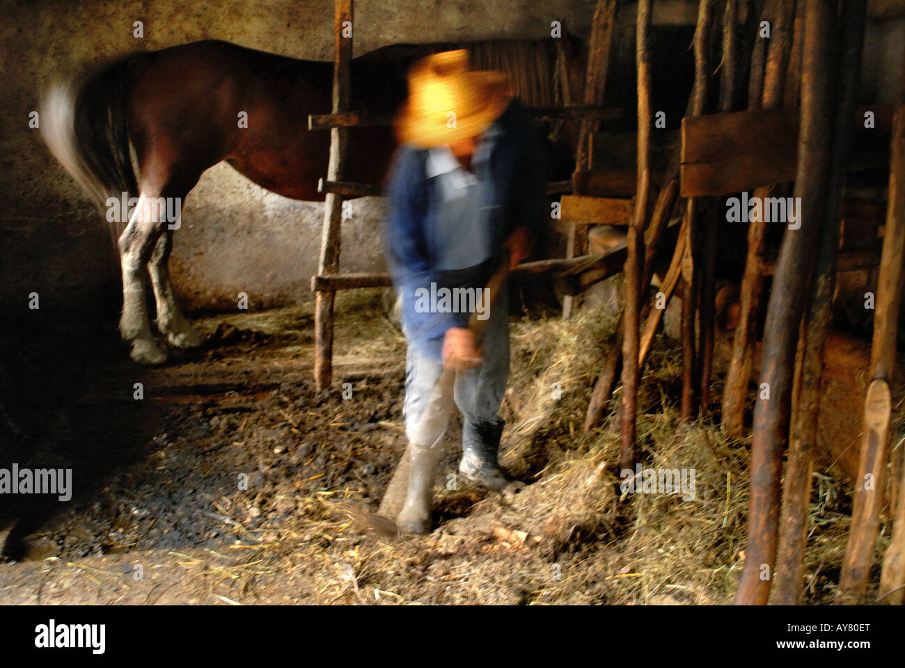 romanian farmer, transylvania, romania Stock Photo - Alamy
