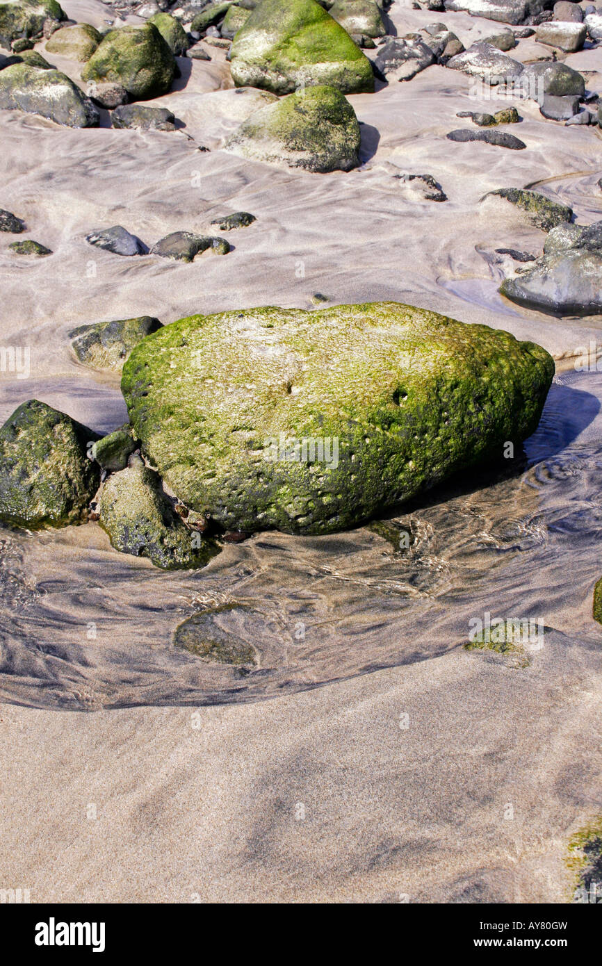 ROCK POOL ON A BEACH Stock Photo - Alamy