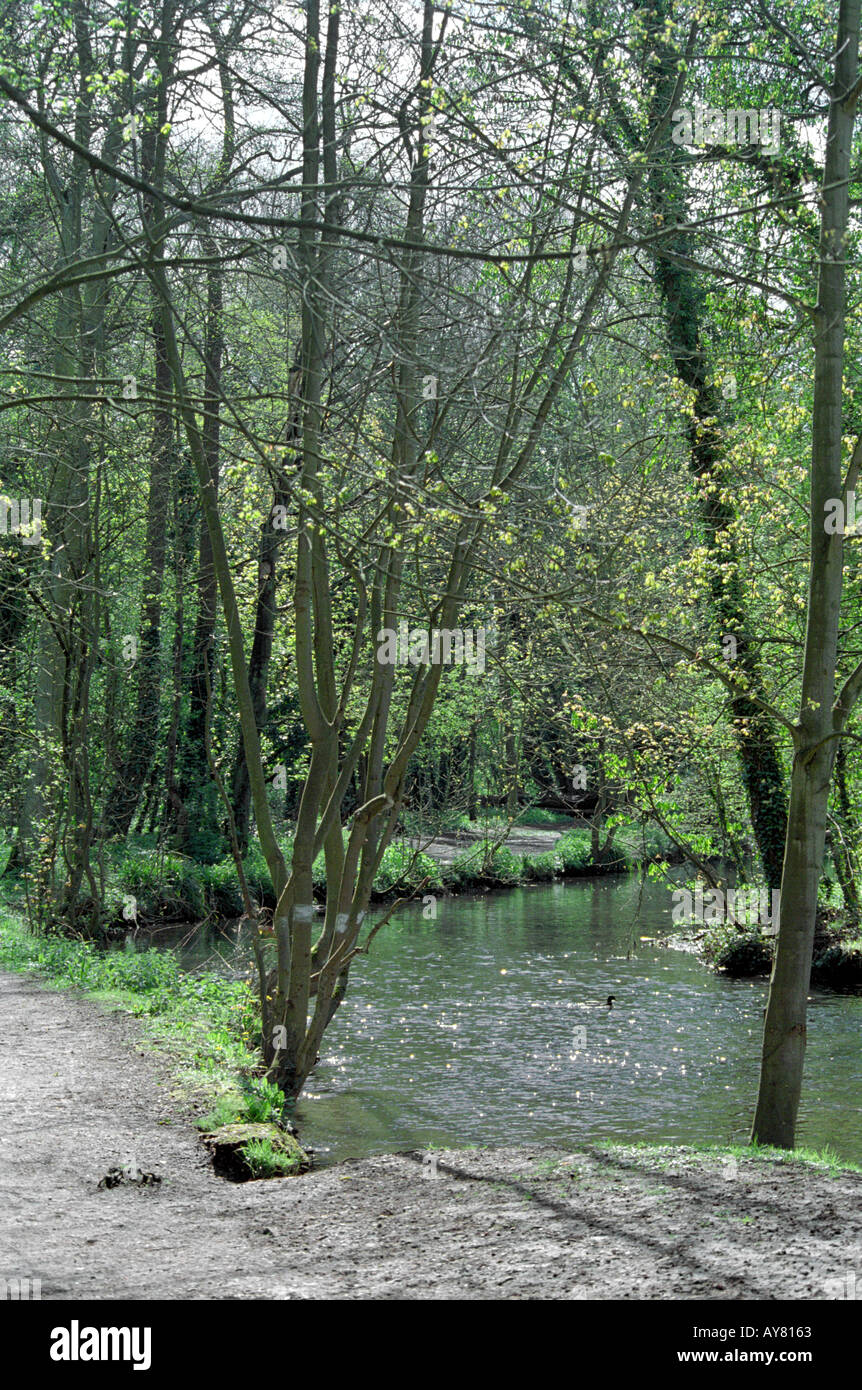 Nature Trail by the River Colne, Cassiobury Park, Watford ...
