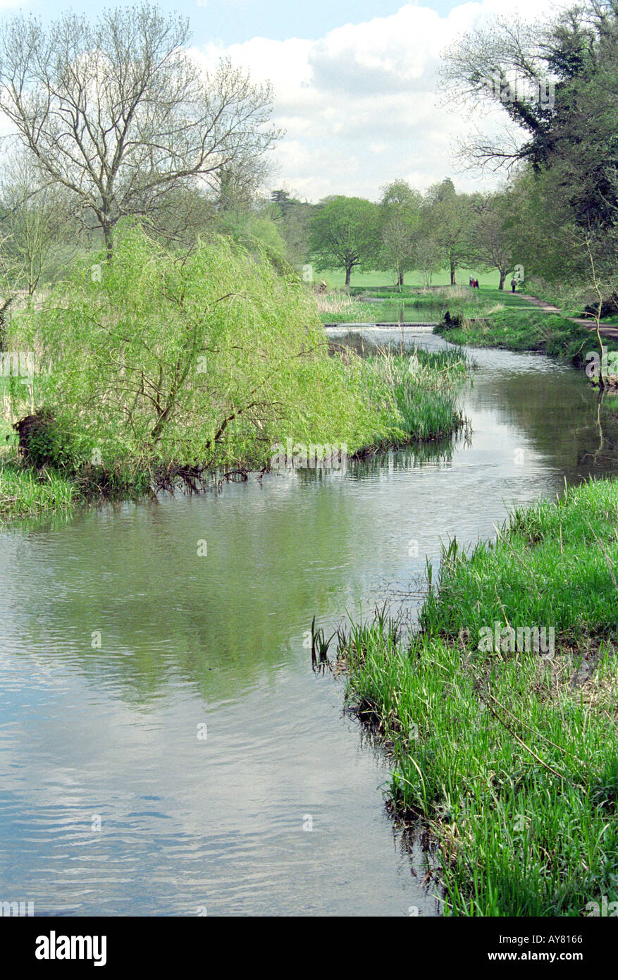 River Colne, Cassiobury Park, Watford, Hertfordshire, UK Stock Photo ...