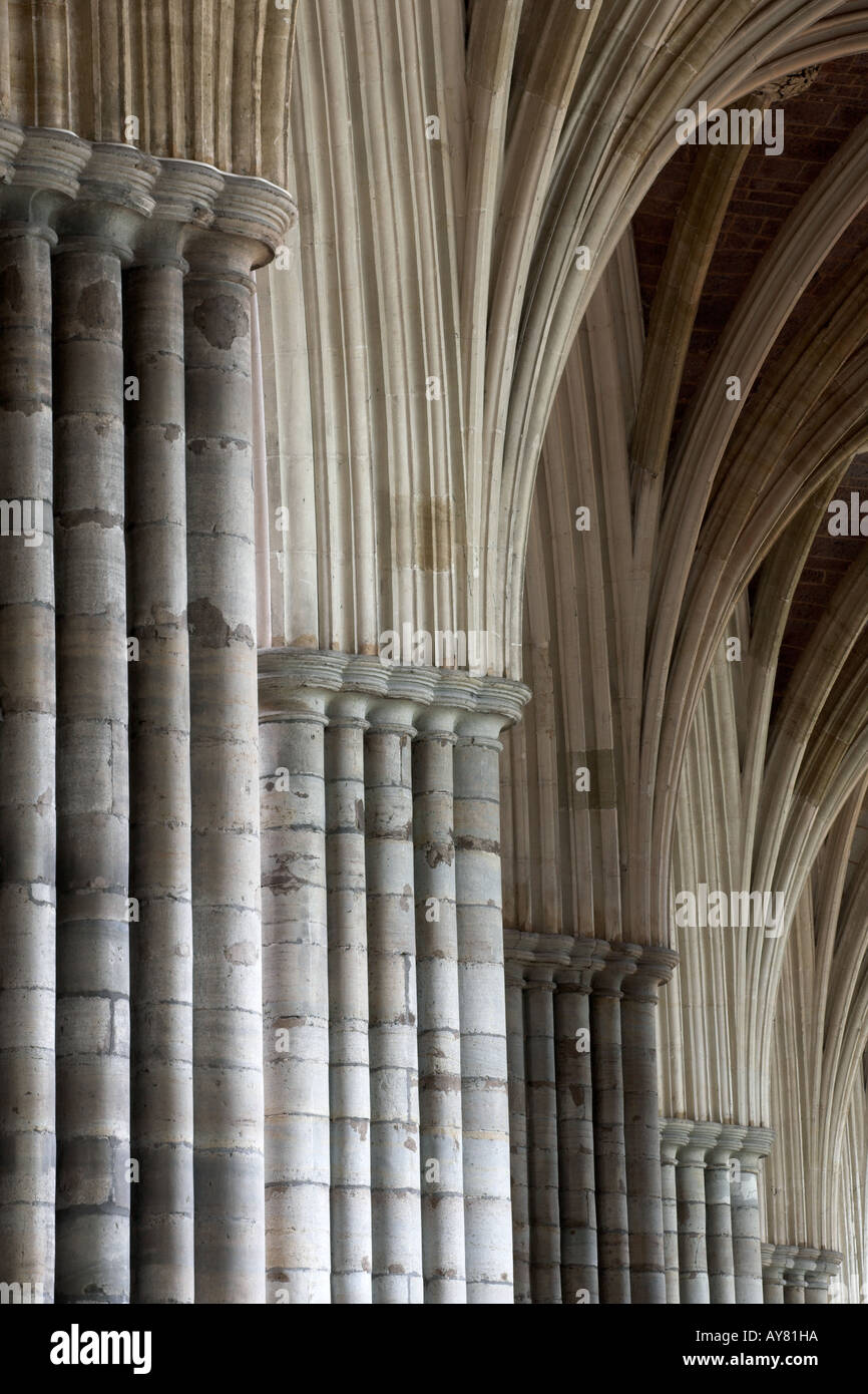 Exeter cathedral nave hi-res stock photography and images - Alamy
