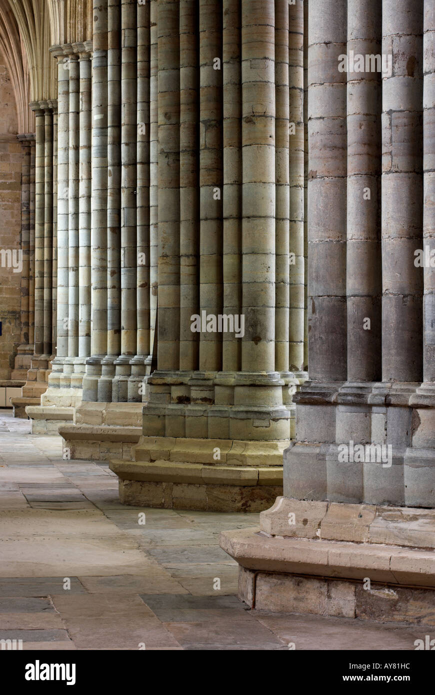 Exeter Cathedral, Devon. Interior view showing 14th century columns in ...