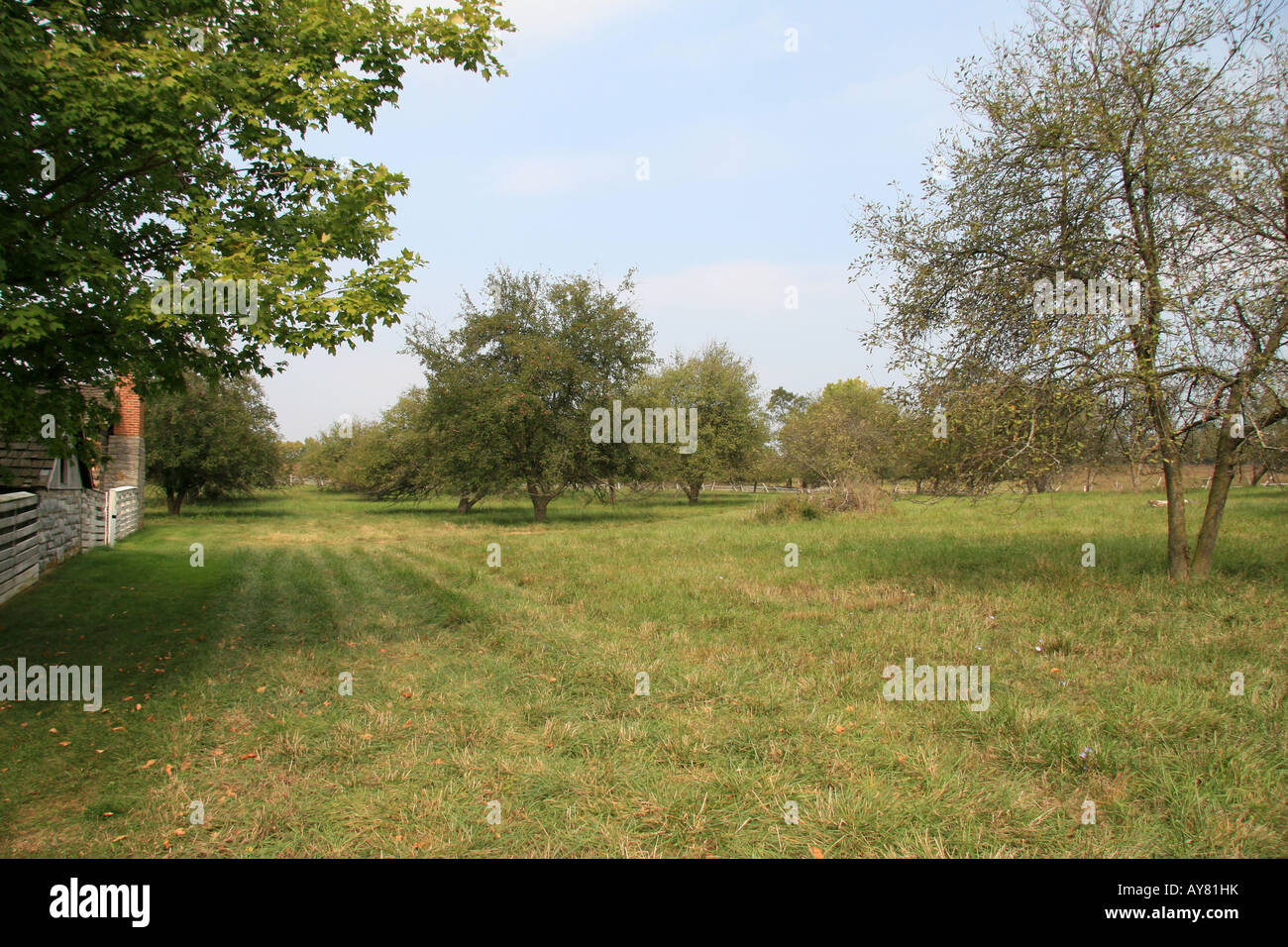 The Orchard on the Bushong Farm, New Market Battlefield State ...
